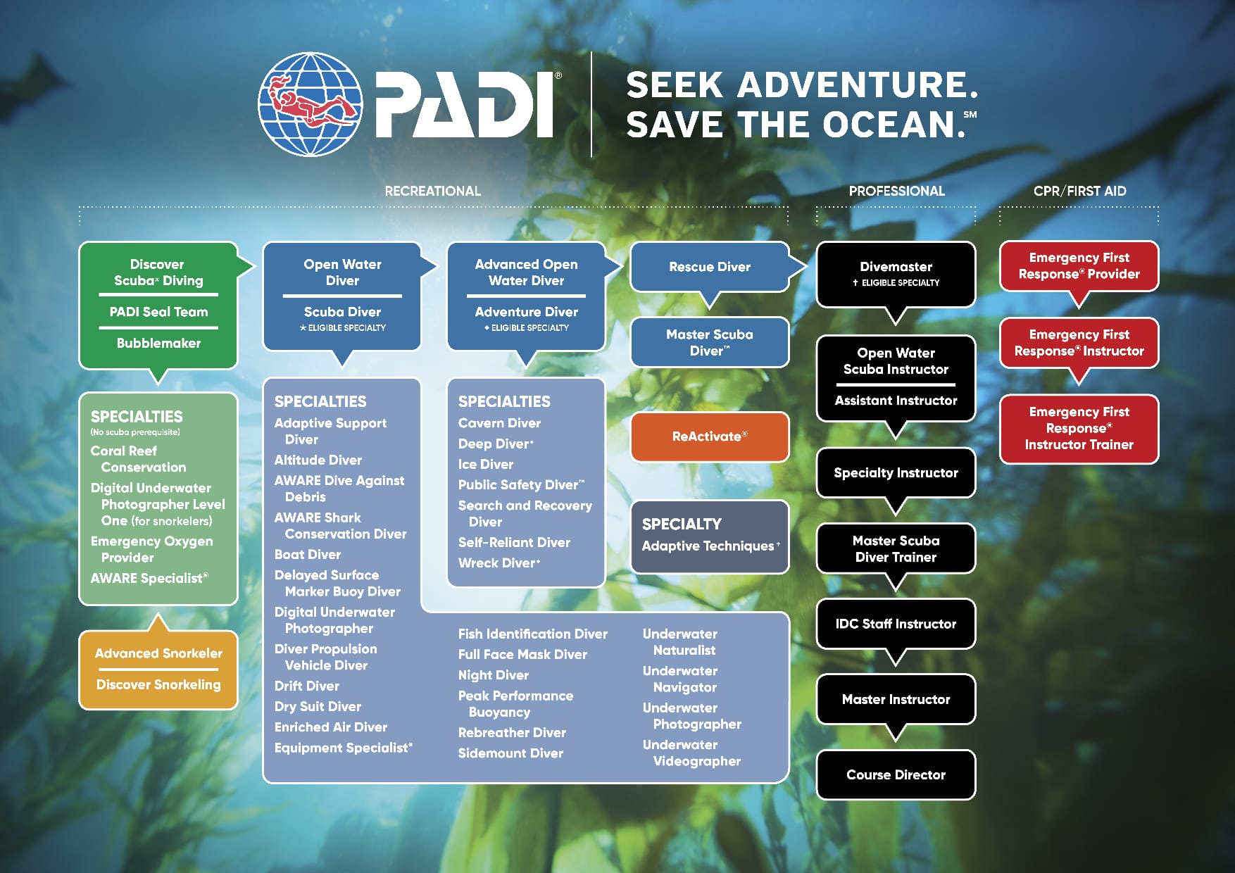 Padi Training chart - Essex Scuba